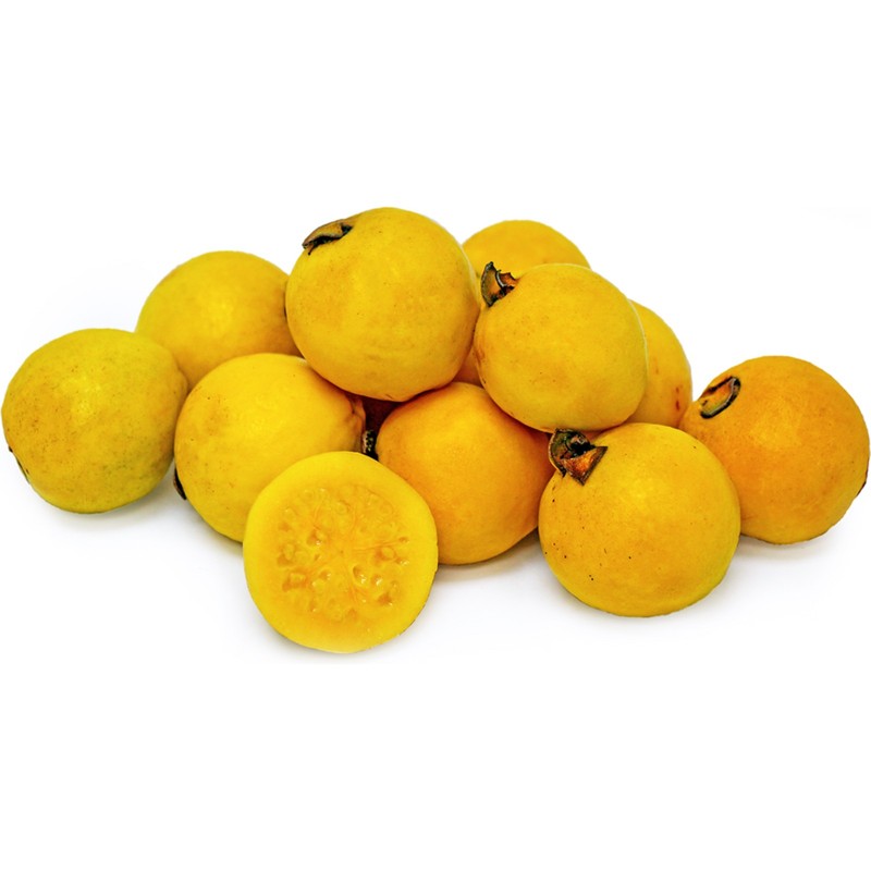 Price: €2.50 - Brazilian Guava Seeds (Psidium guineense)