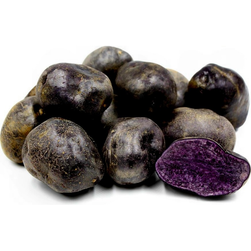 Precio: €2.95 - Semillas De Papas Moradas Peruanas