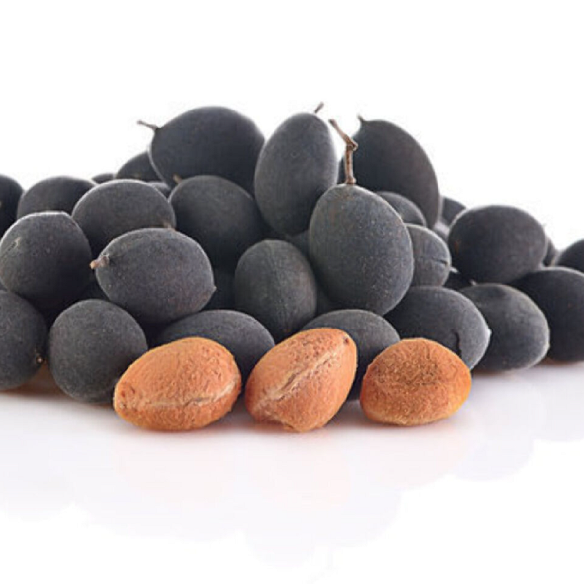 Price: €4.00 - Plum Tamarind Seeds (Dialium indum)